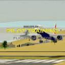 Discord servers tagged with pilot-training-flight-simulator | DISBOARD