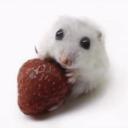 rAts | DISBOARD: Discord Server List