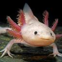 Discord servers tagged with htf | DISBOARD