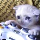 Discord servers tagged with gaming-friends | DISBOARD