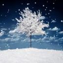 💦⊹₊˚ Frost ꒦˚｡ | DISBOARD: Discord Server List