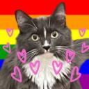 Discord servers tagged with gay-teen | DISBOARD