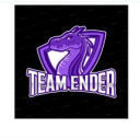 Join Team Ender Esports | Discords.com