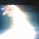 Big PP vibes | DISBOARD: Discord Server List