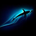 Discord servers tagged with shark | DISBOARD