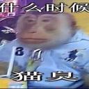 Monke Niebo | DISBOARD: Discord Server List