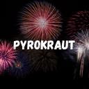 Discord servers tagged with pyro | DISBOARD