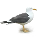 SUS :) | Discord Server List