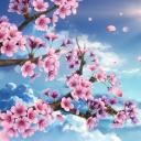 Yokai in Feudal Japan | DISBOARD: Discord Server List