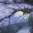 Homework Folder | DISBOARD: Discord Server List