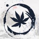 Forest Server | DISBOARD: Discord Server List