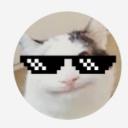 Discord servers tagged with beluga | DISBOARD