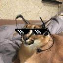 带“ beluga ”标签的Discord服务器一览 | DISBOARD