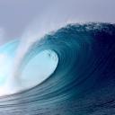 Life + Wind | DISBOARD: Discord Server List