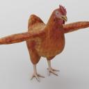 Cool Chickens '>' | DISBOARD: Discord Server List