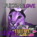 Floppa | Public Discord Server