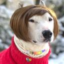 Search results for: dog | DISBOARD: Discord Server List