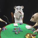 ~Rats With Dice~ | DISBOARD: Discord Server List