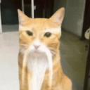 Discord servers tagged with memes | DISBOARD