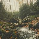 [ ramcoa system safespace ] | DISBOARD: Discord Server List