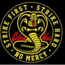 Cobra Kai - Discord Server