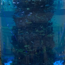 Join sols rng Discord Server | Invite Link