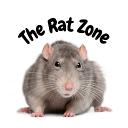 The Rat Zone | DISBOARD: Discord Server List