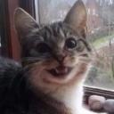 Vibing Place | DISBOARD: Discord Server List