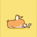 🐶Dogs Kingdom🐶 | DISBOARD: Discord Server List