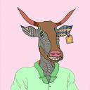 Official Cash Cows Club | DISBOARD: Discord Server List