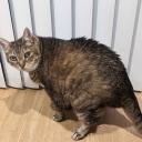 CRUSTY | DISBOARD: Discord Server List