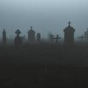 graveyard of dead idiots | DISBOARD: Discord Server List