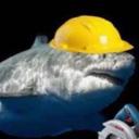 Terry the fat shark cult | DISBOARD: Discord Server List