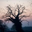 Discord servers tagged with goth | DISBOARD