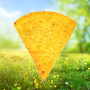 Join NOAHS NACHOS | Discords.com