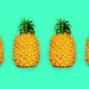 Big Pineapple Bottom Bitches. | DISBOARD: Servidores de Discord