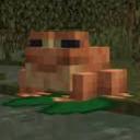Frog SMP - Minecraft Server | DISBOARD: Discord Server List