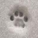 𝕆𝕟𝕝𝕪 𝔽𝕣𝕚𝕖𝕟𝕕𝕤 | DISBOARD: Discord Server List