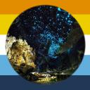 ♡Glowworms AroAce Cave♡ | DISBOARD: Discord Server List