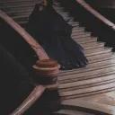 Discord servers tagged with Nation-RP | DISBOARD