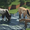 Discord servers tagged with swem | DISBOARD