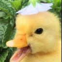 Discord servers tagged with Christian | DISBOARD