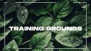 The Training Grounds