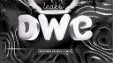DWC Leaks