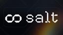 Salt AI
