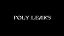 Poly Leaks