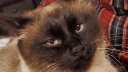 The Goobers Discord Server | Discord Invite