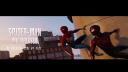 Spider-Man Multiplayer