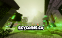 SkyCoins - Buy Account & Coins: Hypixel Skyblock Discord Server ...