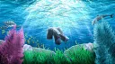 Top Fisch Trading Discord Servers | Discord Server List